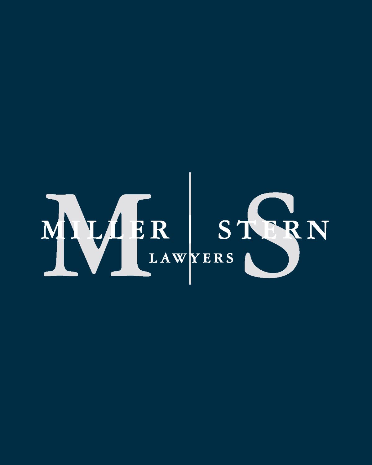 Our Team | Miller Stern Lawyers LLC